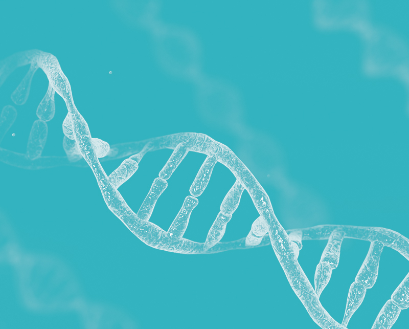 What Is BRCA Jnetics What Is BRCA Jnetics